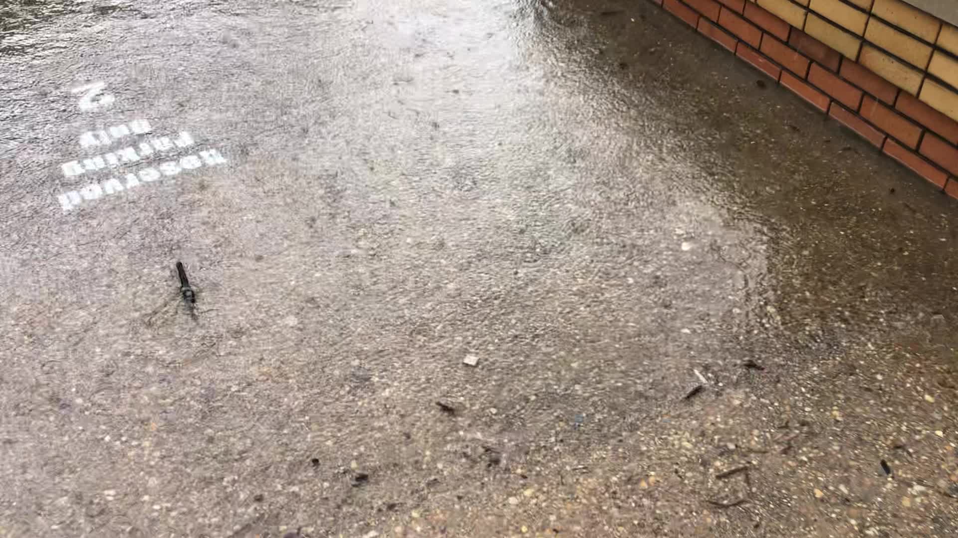 Flooding at Boush St. and Olney Road in Downtown Norfolk – WAVY.com