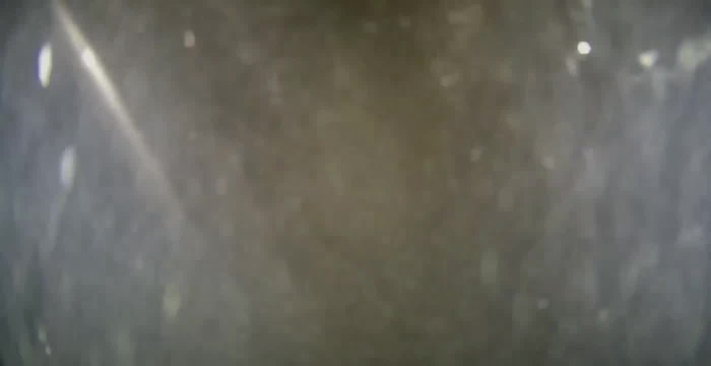 VBPD releases underwater video of car that went off pier – WAVY.com