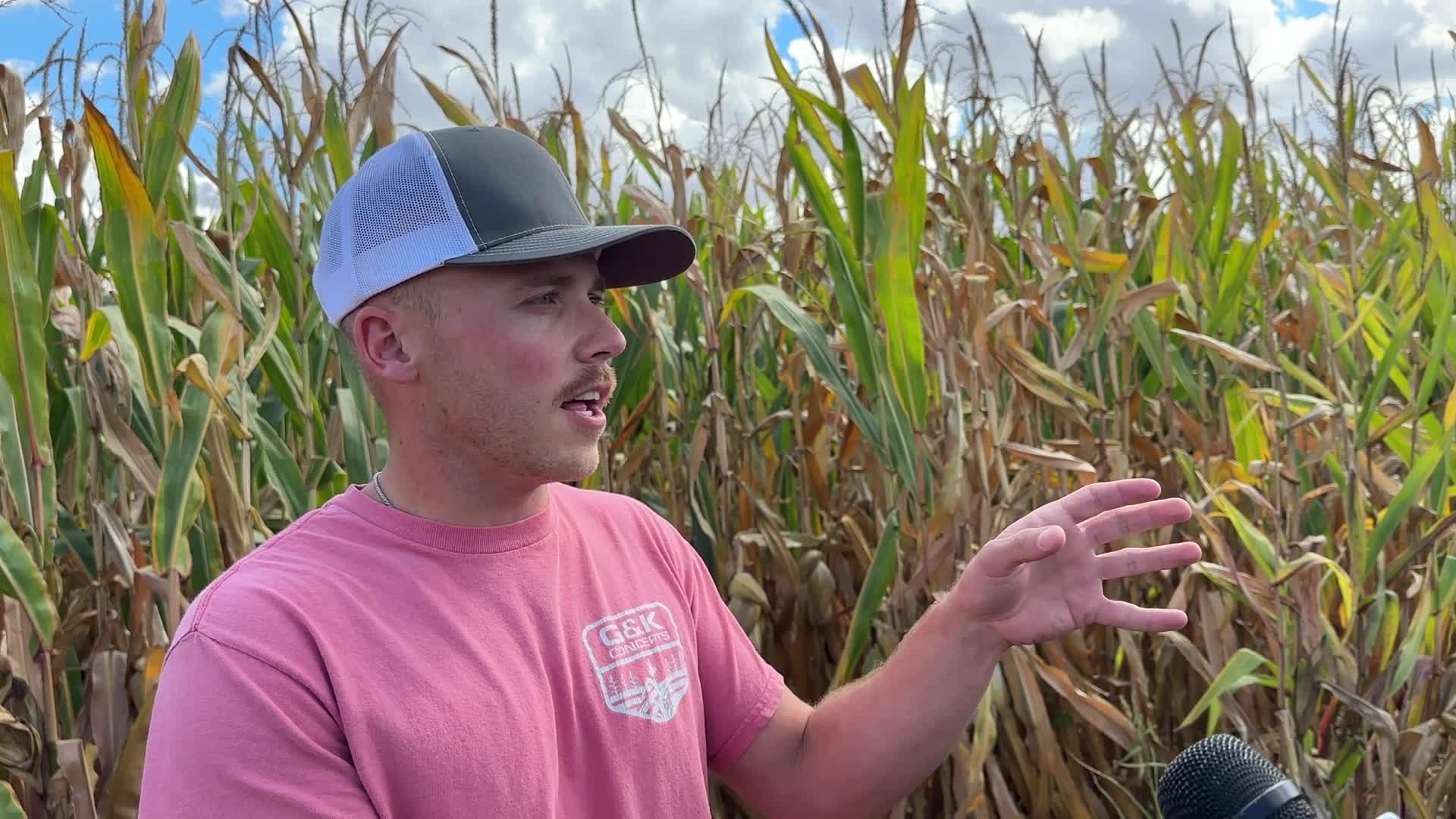 The process of making a corn maze concept come to life – WANE 15