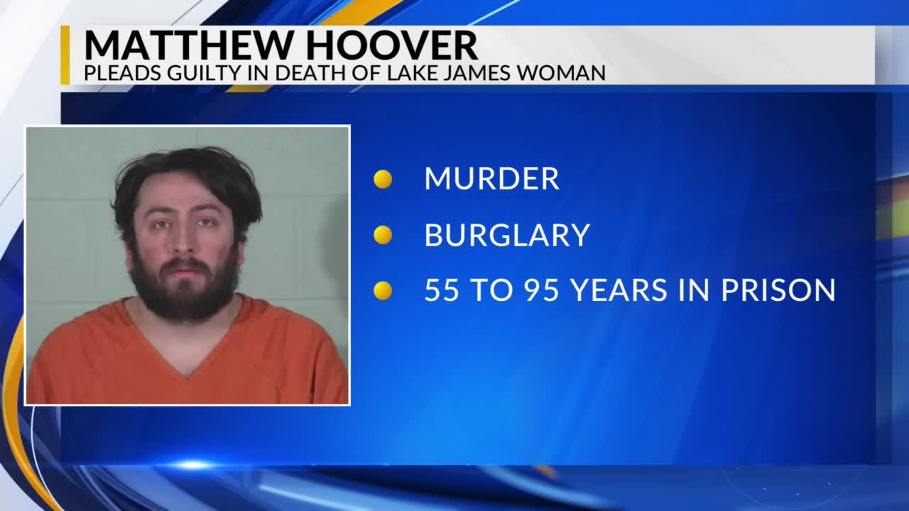 Man pleads guilty in stabbing of Lake James woman – WANE 15