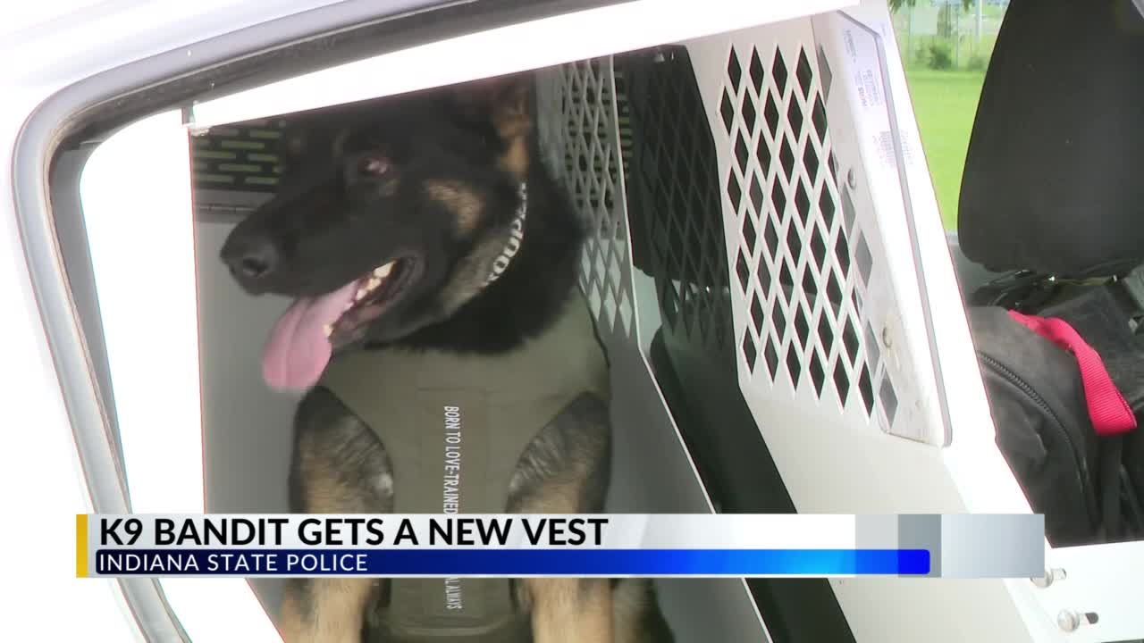 K9 Bandit receives sponsored vest – WANE 15