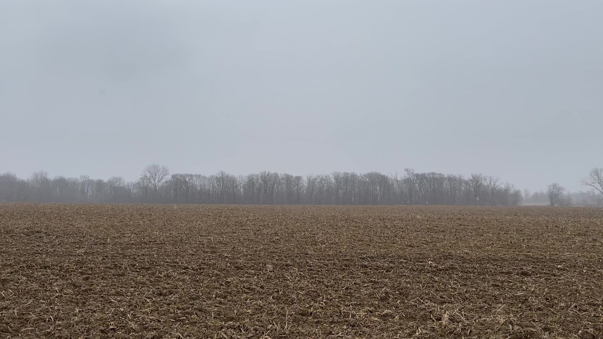 February 16th, 2024 Decatur Snow Video – WANE 15