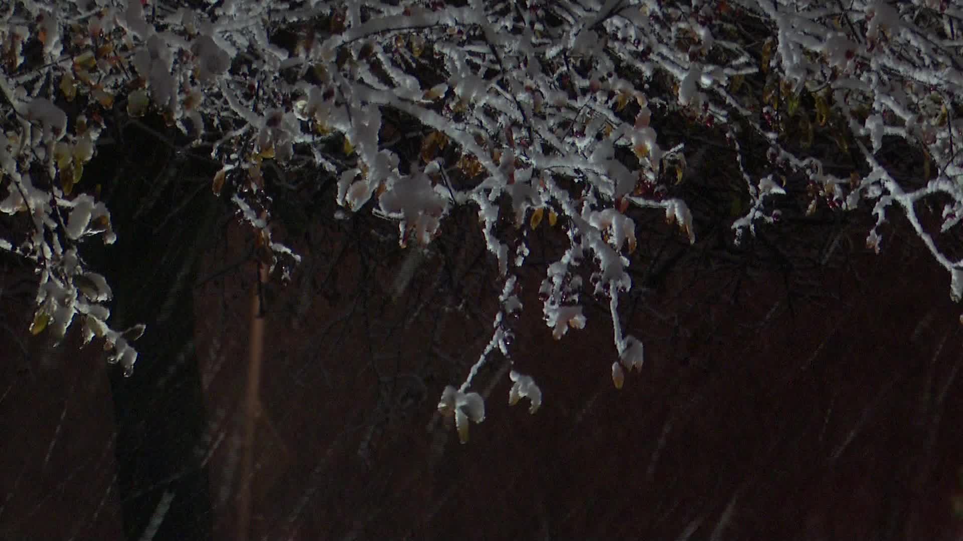 Snow in Fort Wayne – WANE 15