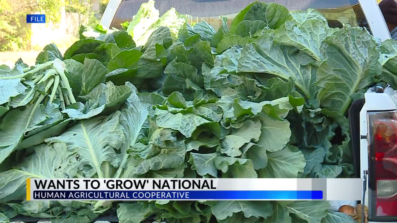 Fort Wayne’s Human Agriculture Cooperative ready to ‘grow’ national ...