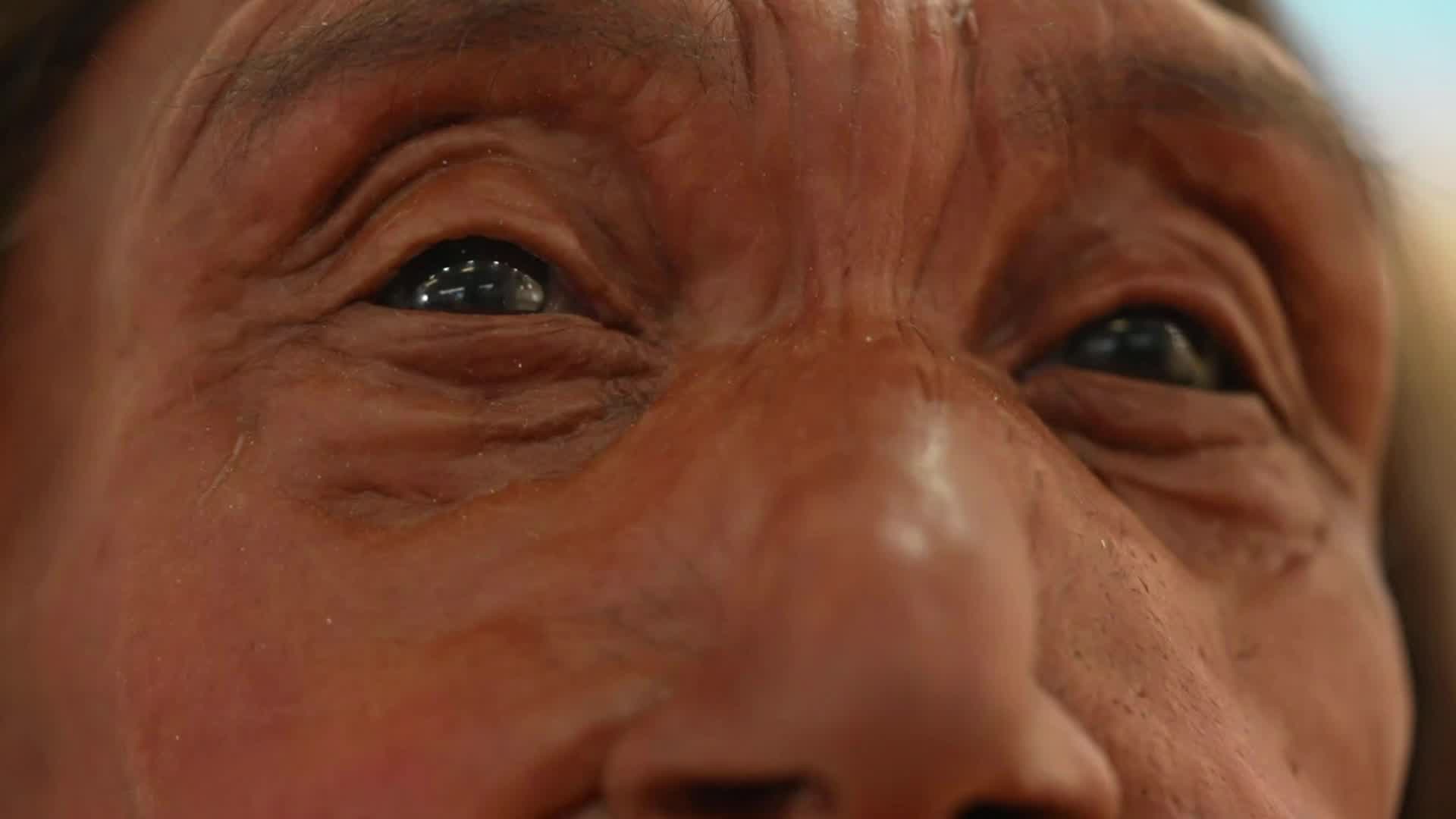 Neanderthal face revealed – WANE 15