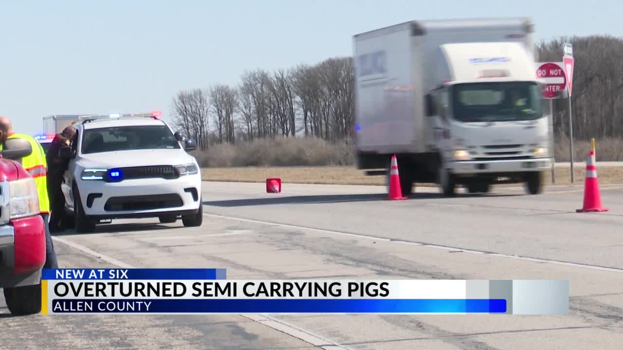 Semi carrying pigs flips after swerving to avoid other semi on US 30 ...