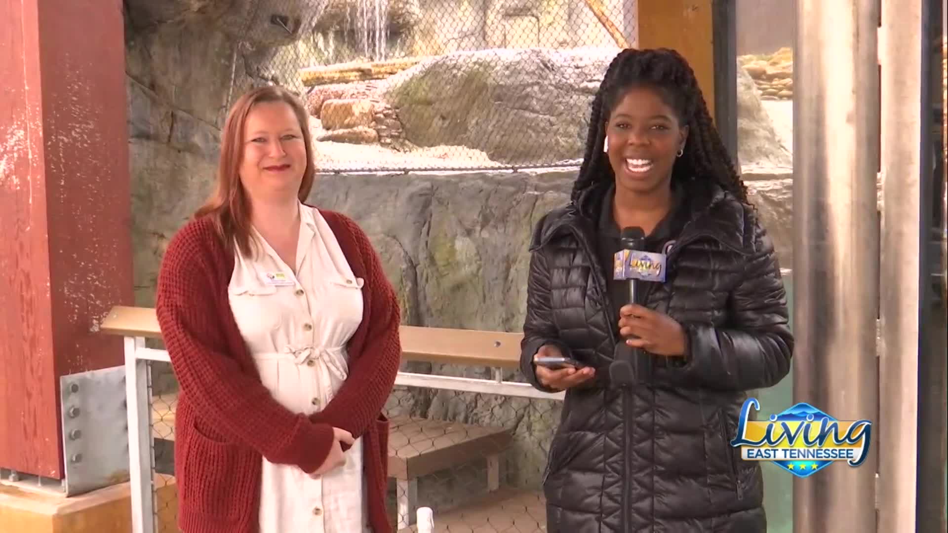 Zoo Knoxville with Love for Everyone – WATE 6 On Your Side