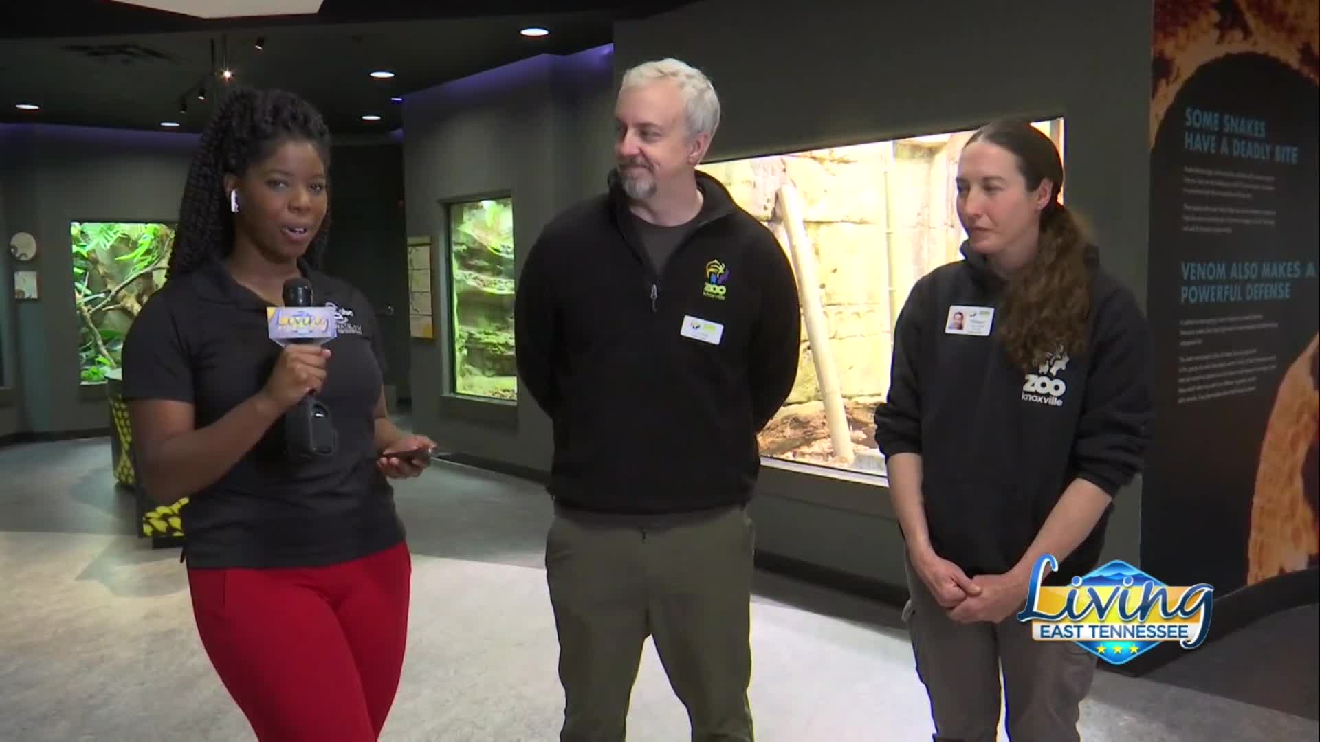Name a Cockroach After your Ex at Zoo Knoxville – WATE 6 On Your Side