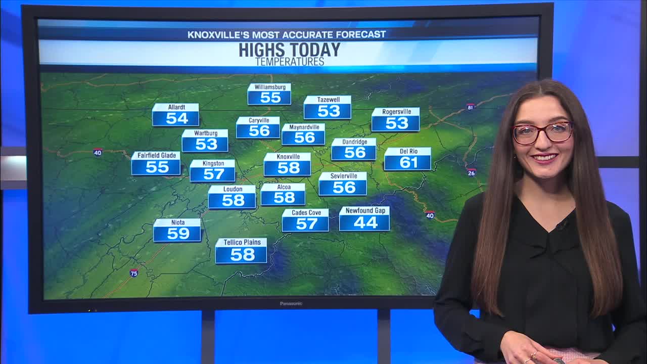 Variably cloudy with an isolated shower and breezy winds – WATE 6 On ...