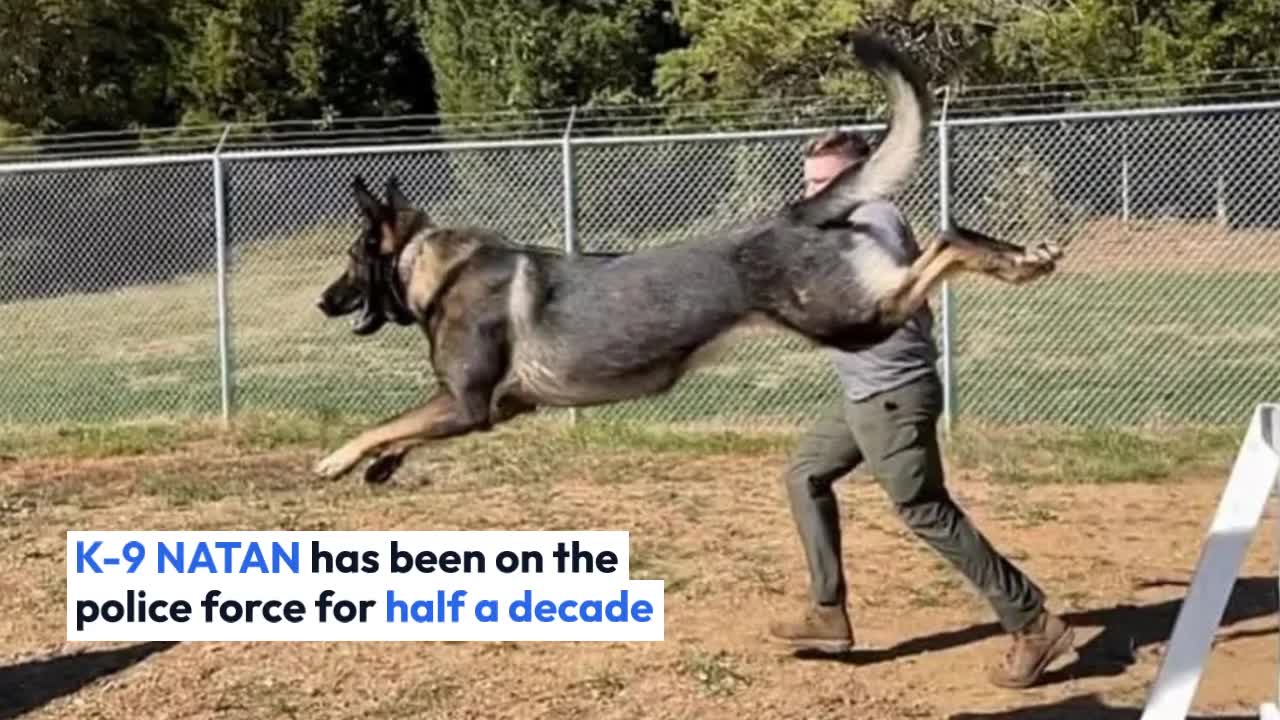 KCSO K-9 Retires – WATE 6 On Your Side