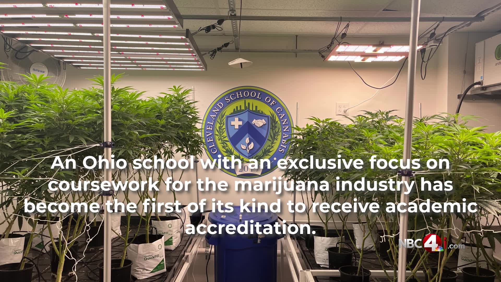 Ohio cannabis school becomes first to get academic accreditation in US ...