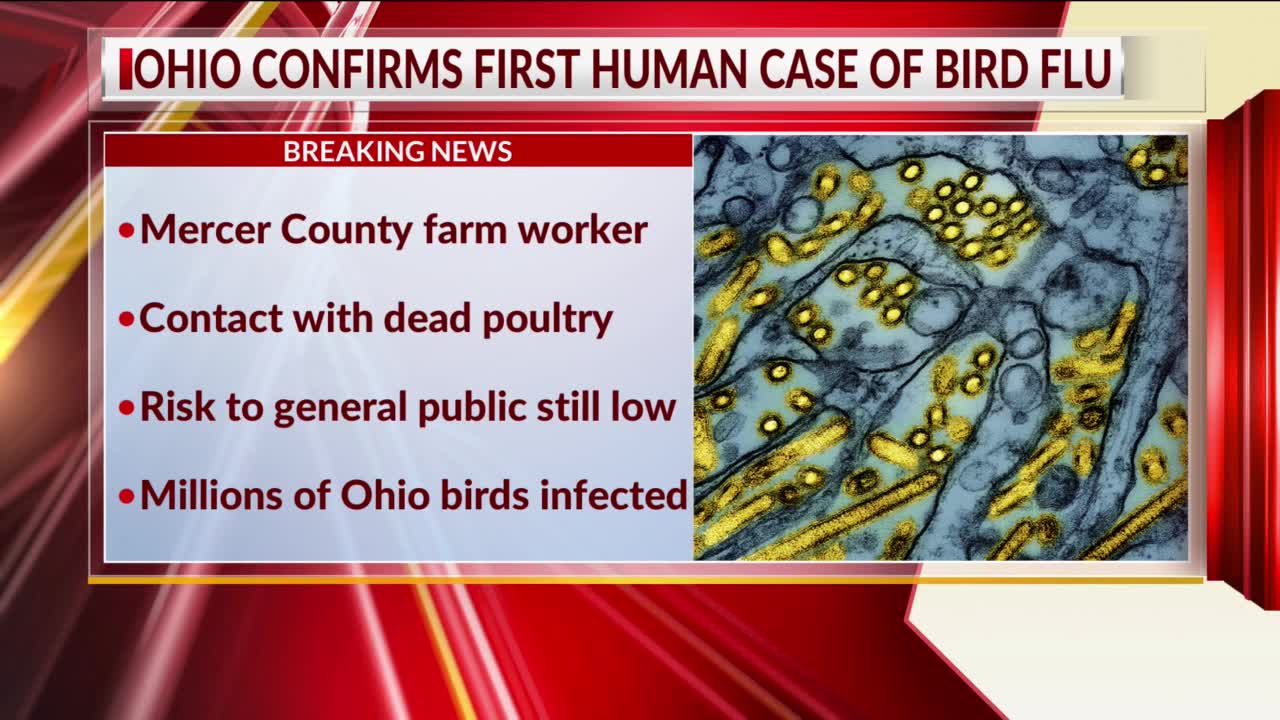 Ohio confirms first human case of bird flu – NBC4 WCMH-TV