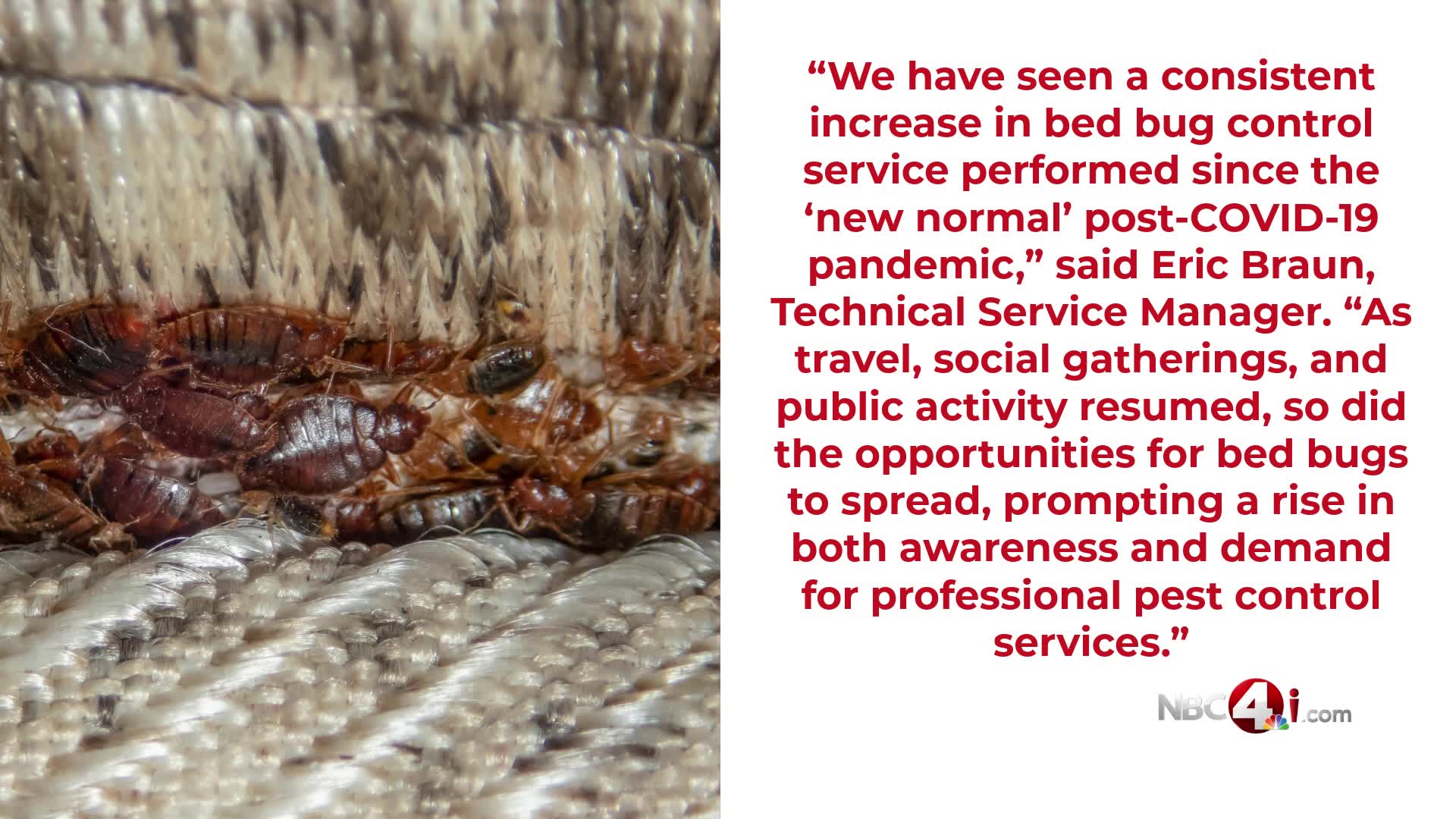 Columbus among most bed bug-infested cities in the country, recent ...