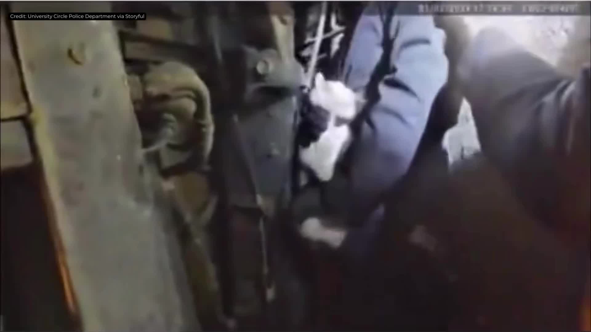 WATCH: Kitten rescue caught on camera highlights winter reminder for ...