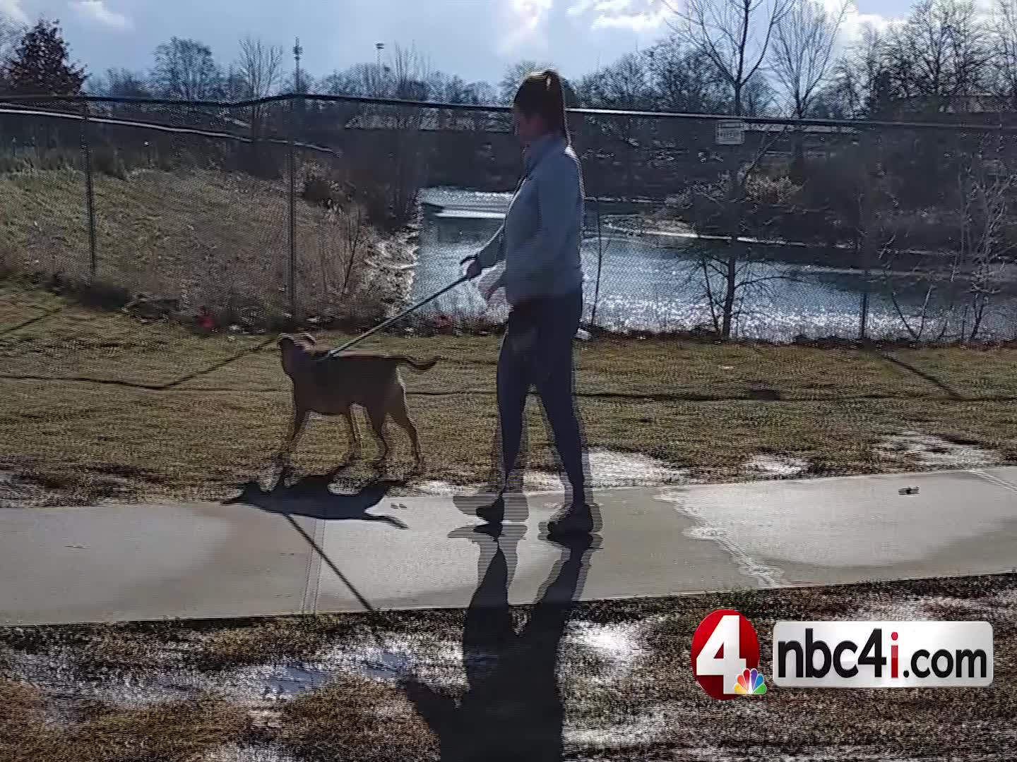 How to host a sleepover for an adoptable Ohio dog during Christmas ...