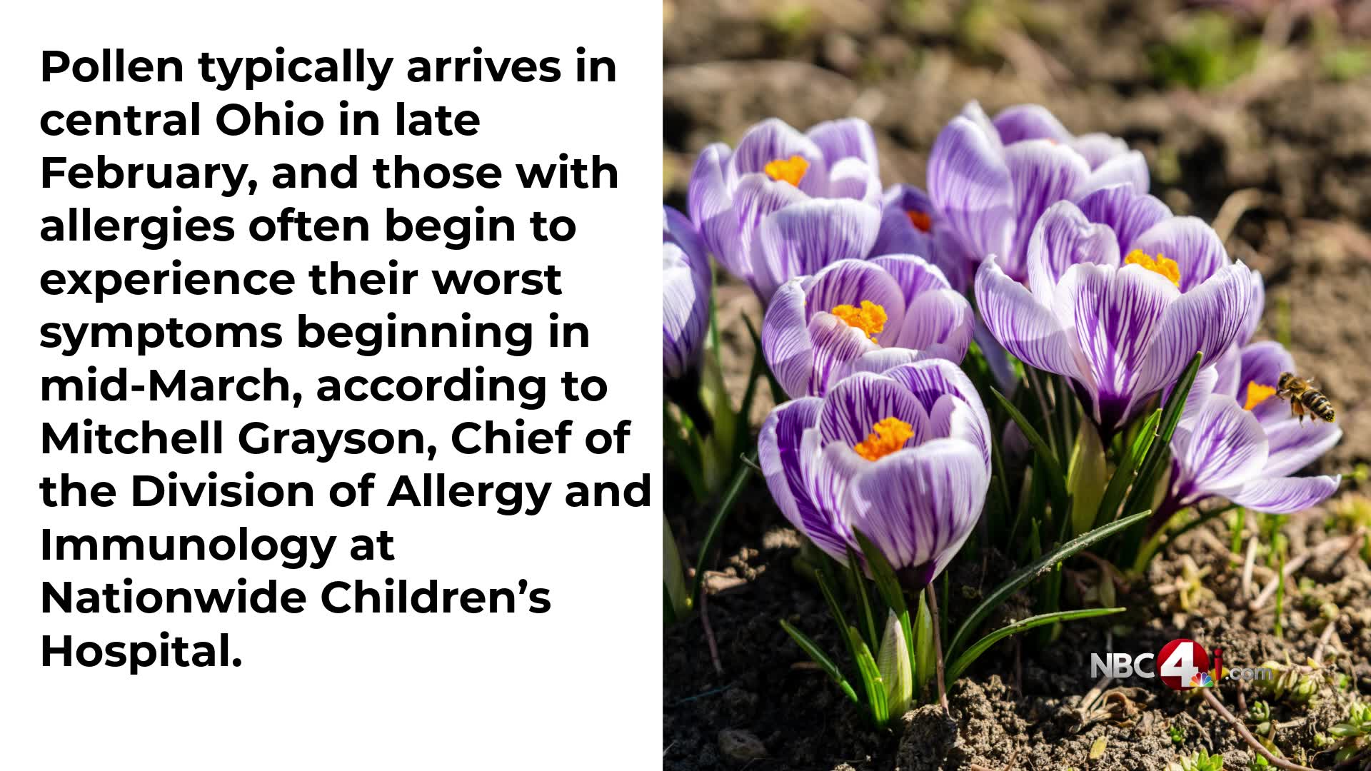 Why springtime allergies have arrived earlier and worse than usual for some – NBC4 WCMH-TV