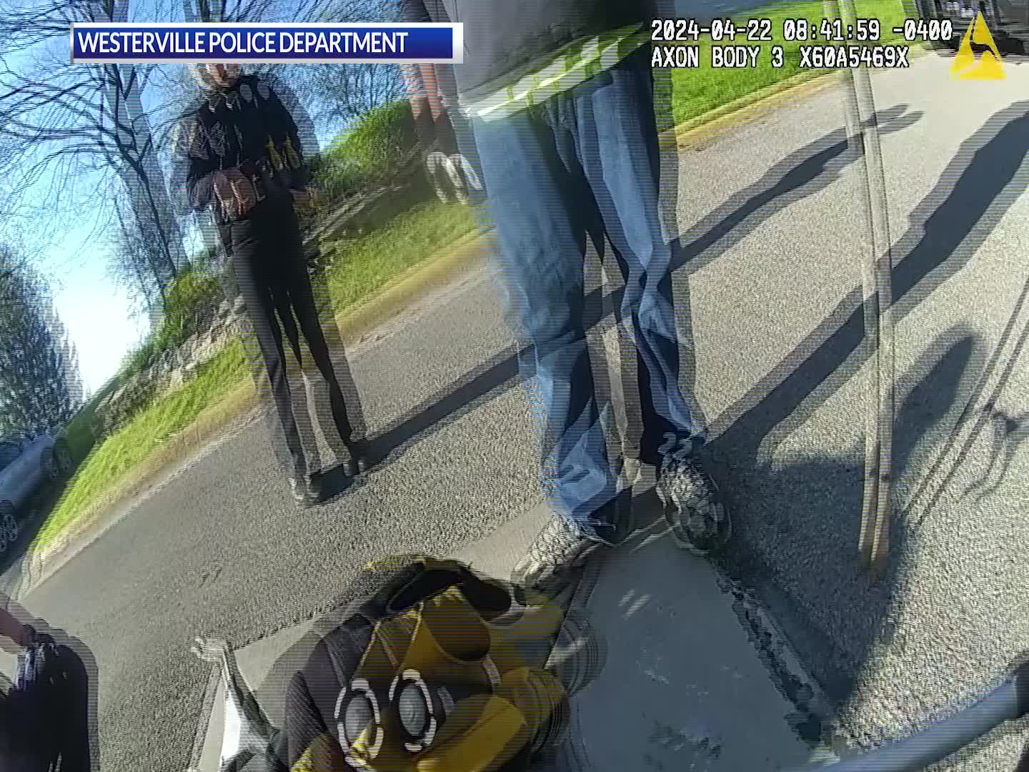 Watch: Ducklings trapped in storm drain rescued by Ohio police – NBC4 ...