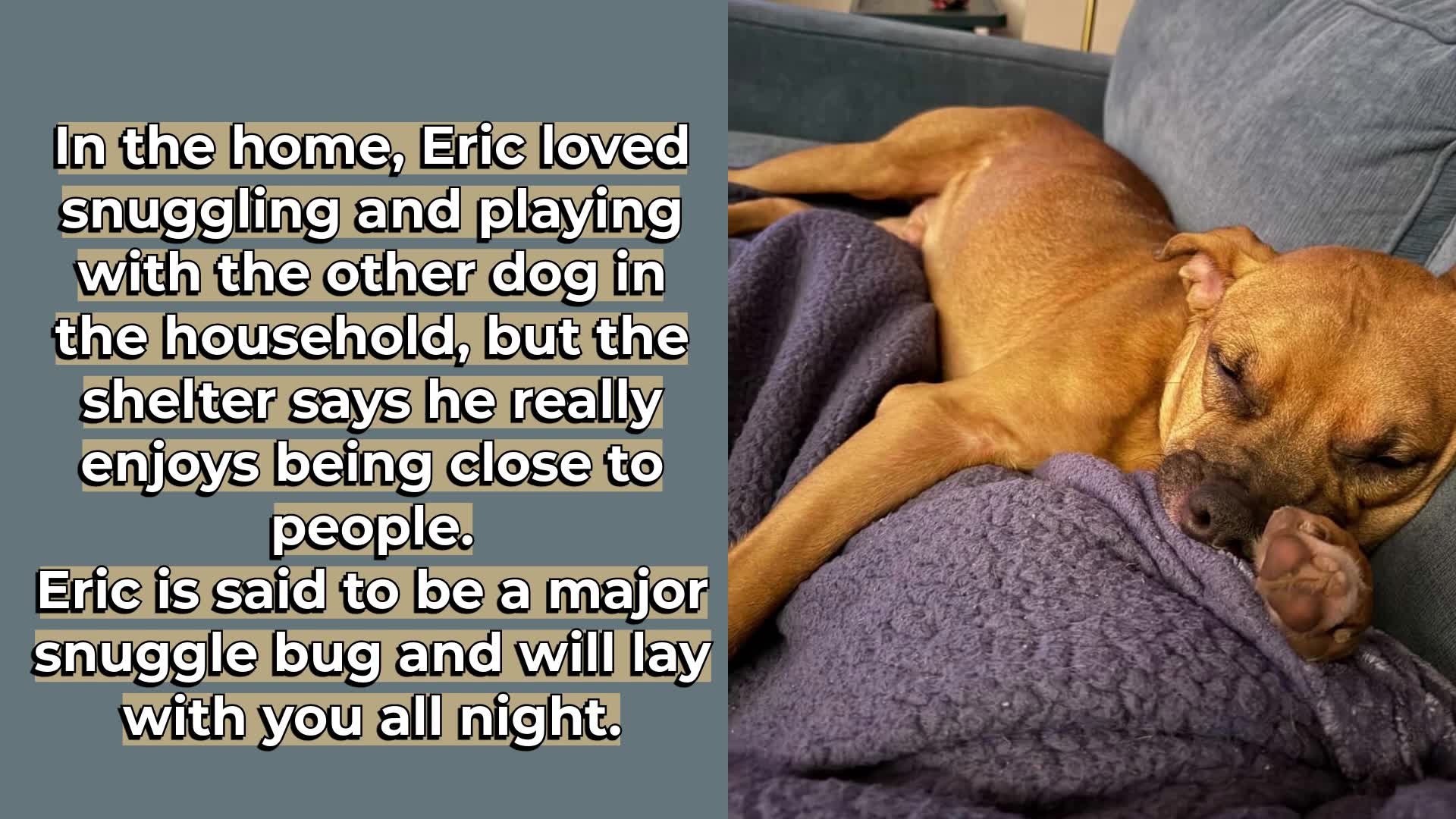 4Ever Home: Eric – NBC4 WCMH-TV