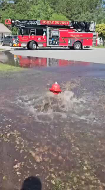 Crash damages fire hydrant in Conway-area neighborhood – WBTW