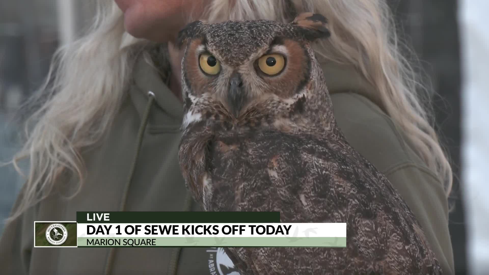 Day 1 of SEWE – WCBD News 2