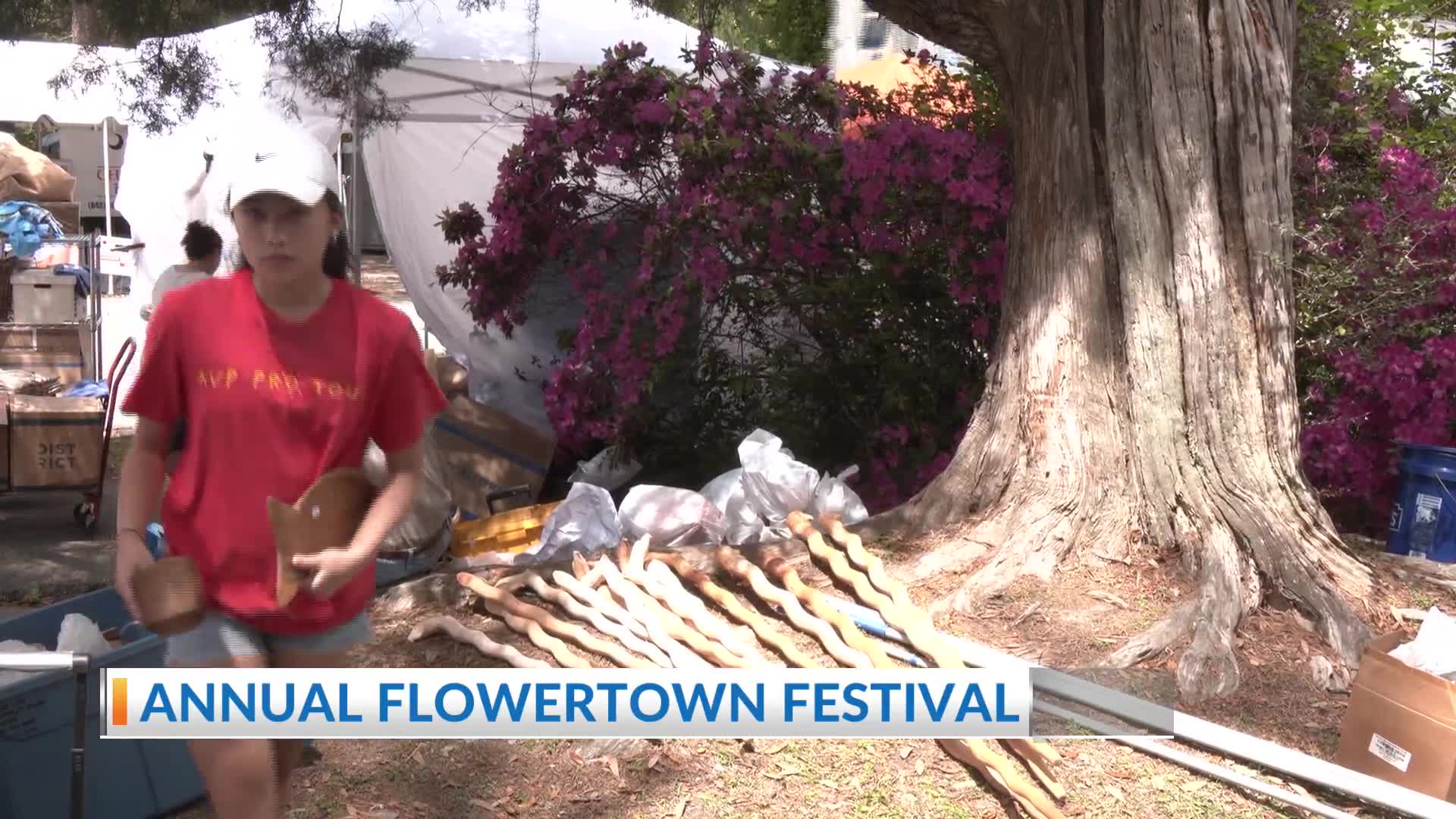 Flowertown Festival begins Friday in Summerville – WCBD News 2