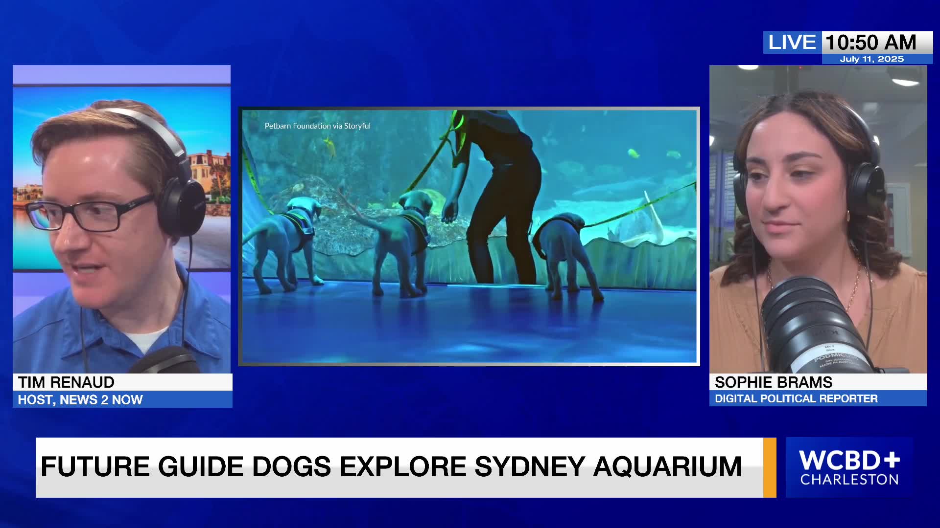 Friday’s viral video moments on News 2 Now – WCBD News 2
