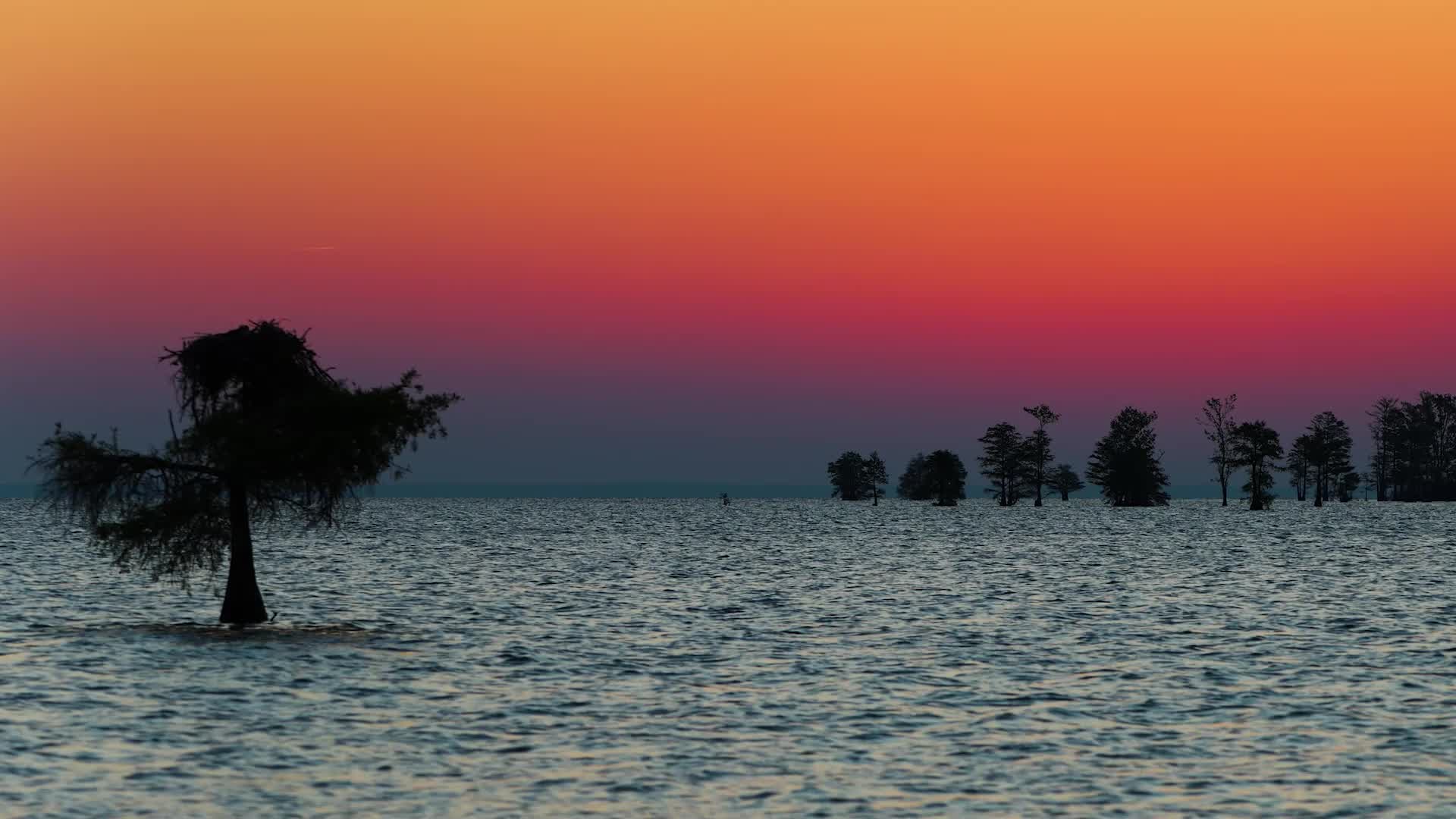 Morning Sunrise: Lake Moultrie – WCBD News 2