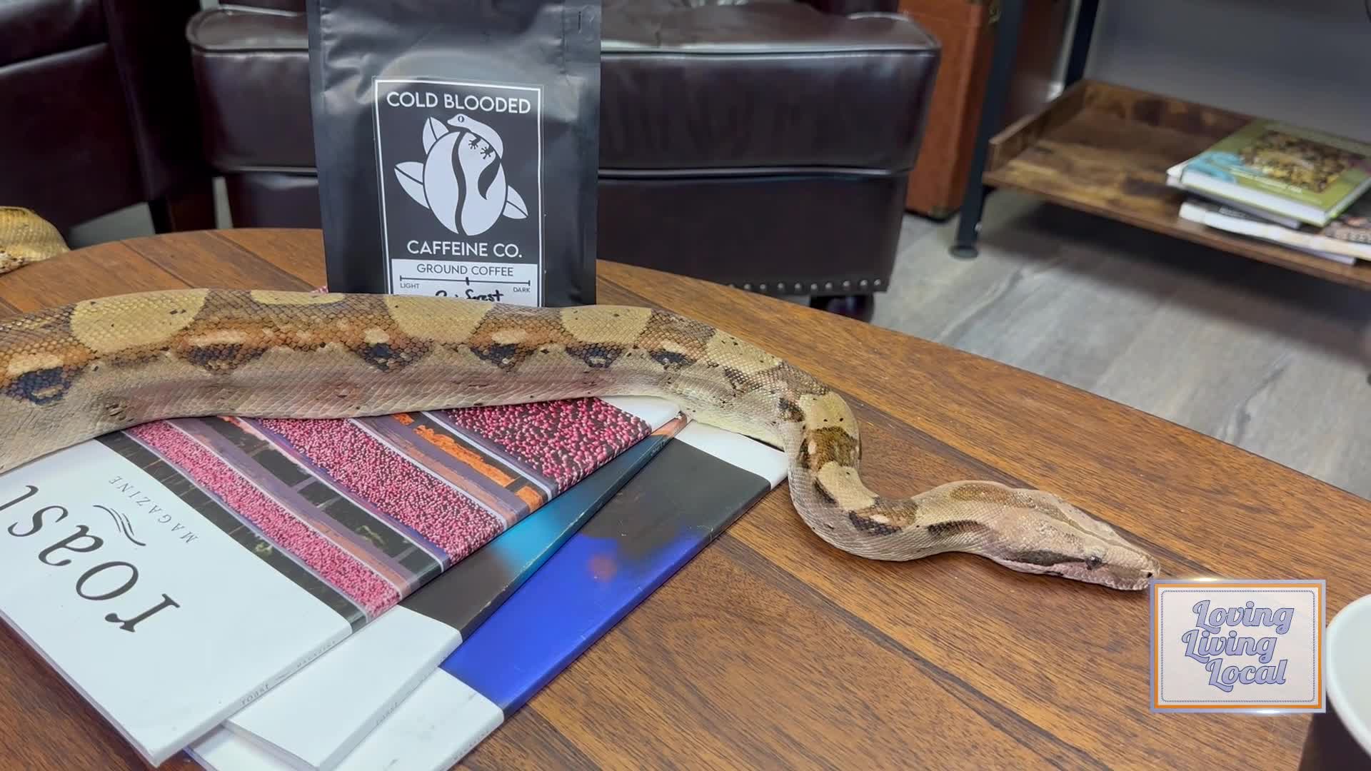 Coffee Run & Cold Blooded Caffeine – WCBD News 2