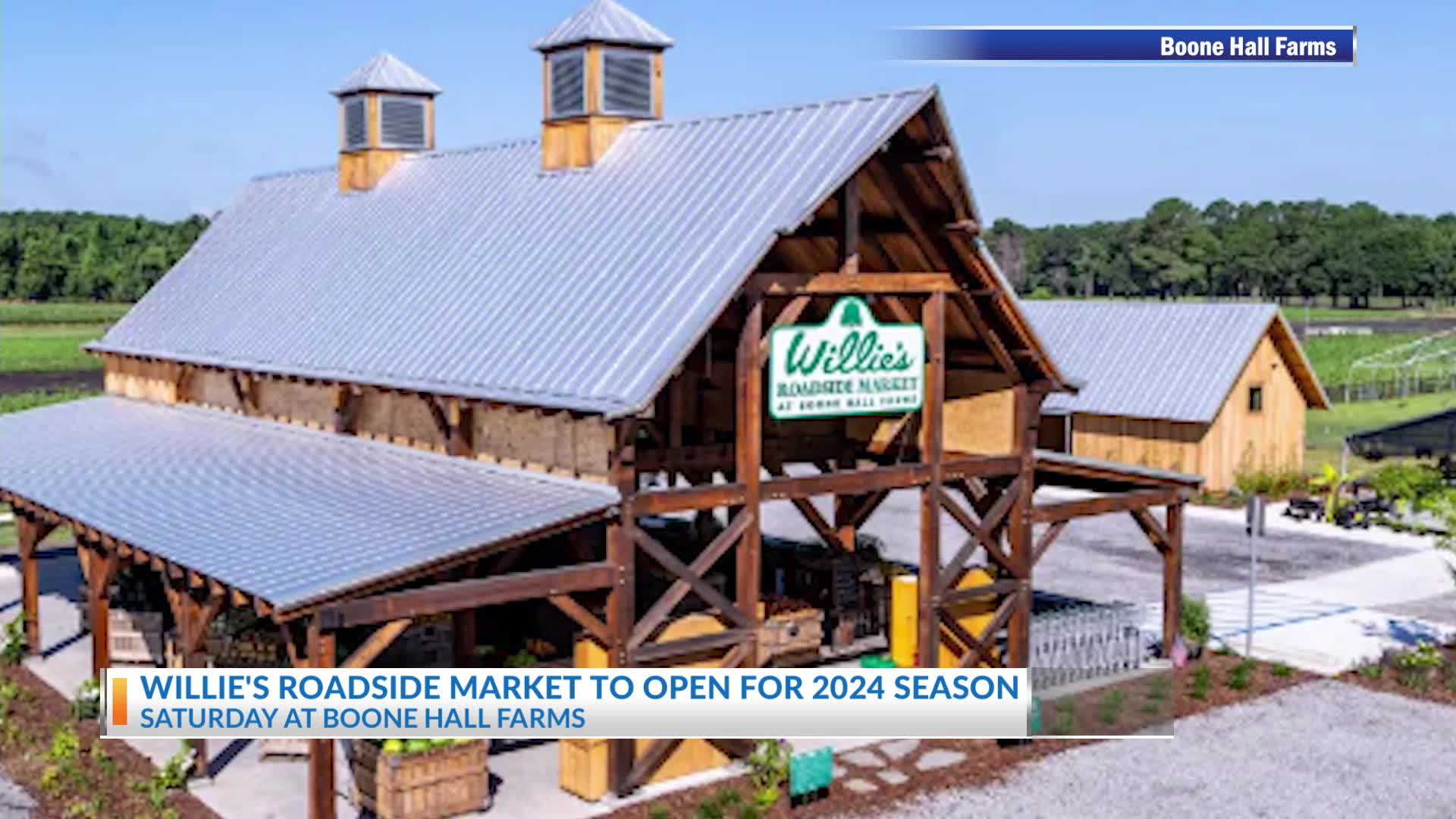 Willie’s Roadside Market opens at Boone Hall Farms for 2024 season ...