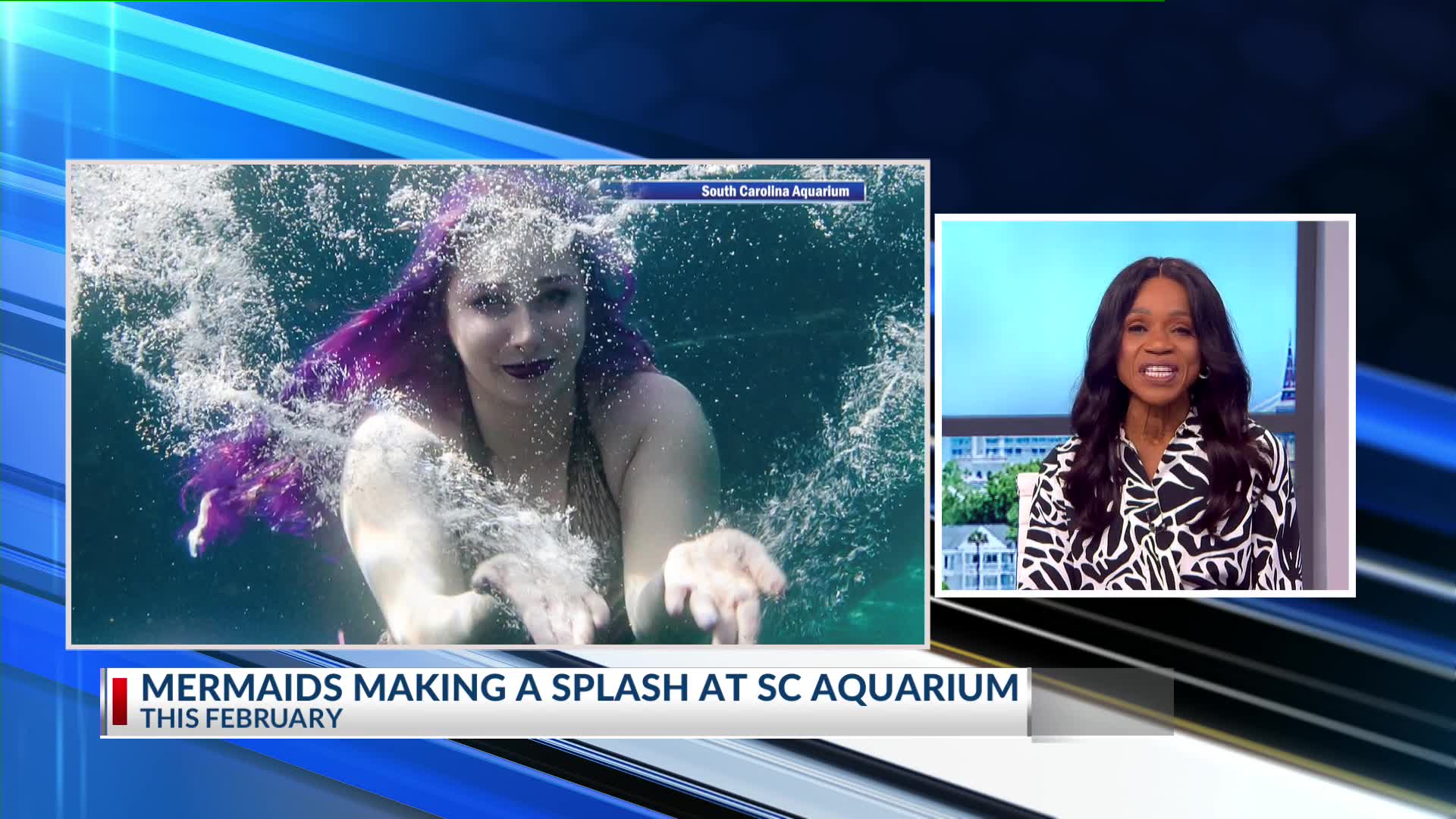 Mermaids making a splash SC Aquarium – WCBD News 2
