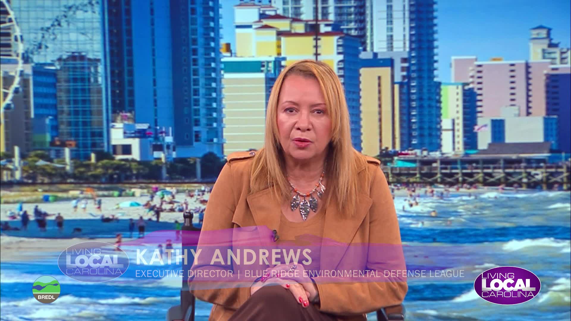 Blue Ridge Environmental Defense League – WCBD News 2