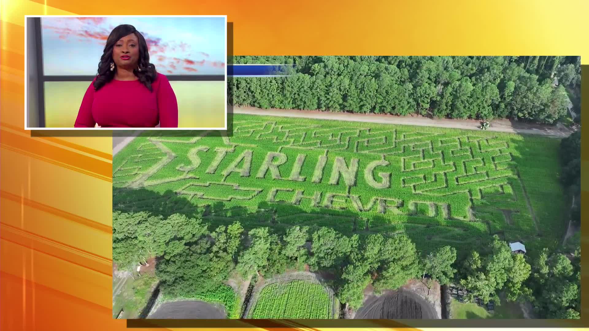 Boone Hall Pumpkin Patch to open for season Friday – WCBD News 2