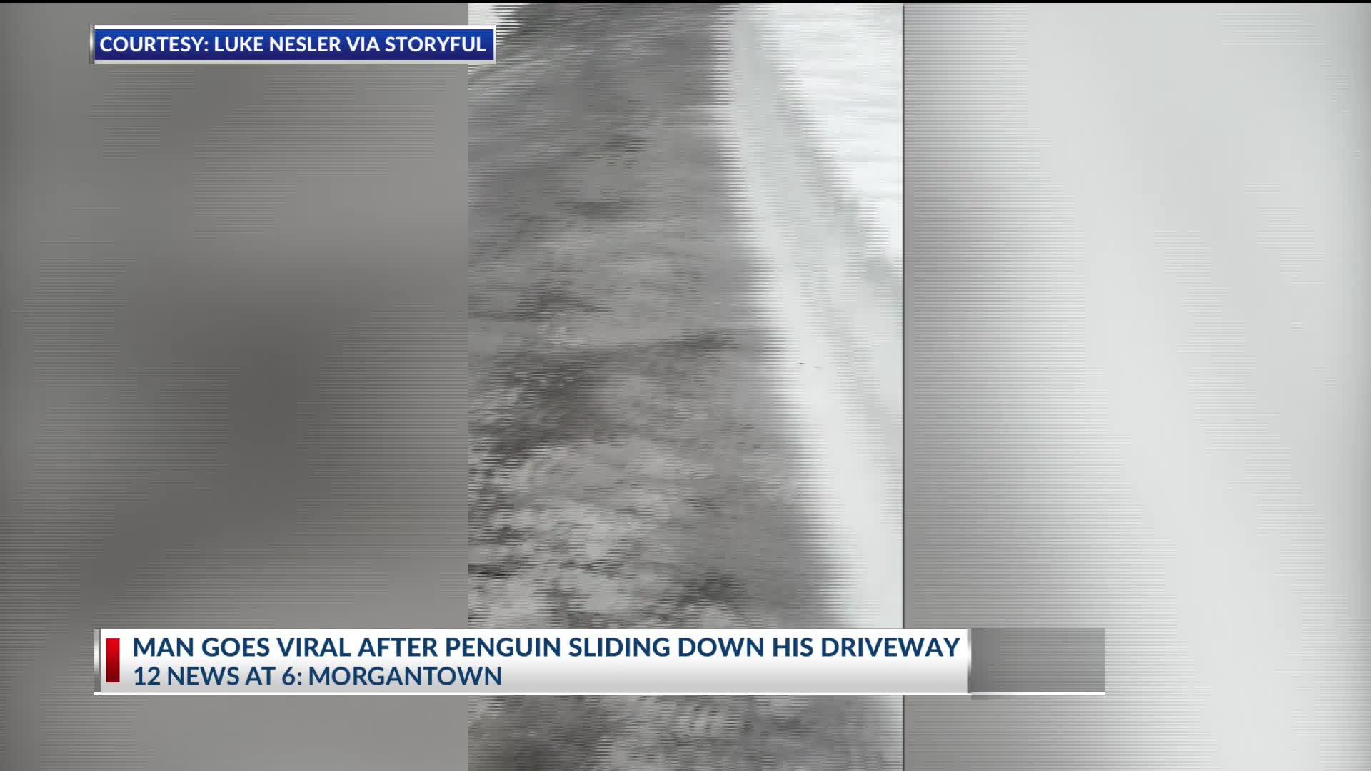 West Virginia resident’s icy driveway video goes viral – DC News Now ...