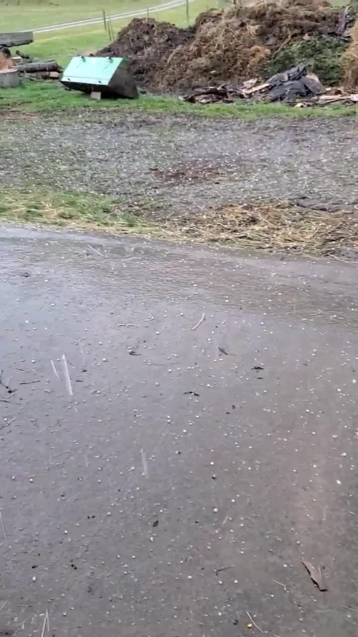 Marble sized hail seen in Ritchie County during WV flood watch – WBOY.com
