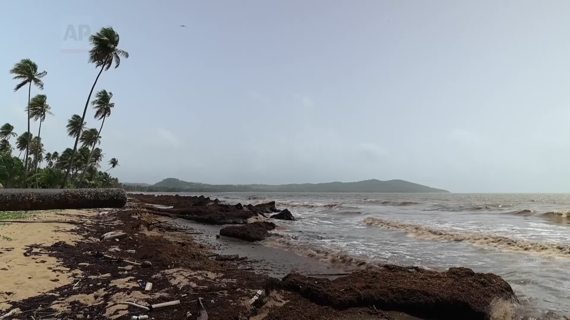 Scientists say a record amount of seaweed hit the Caribbean and nearby ...