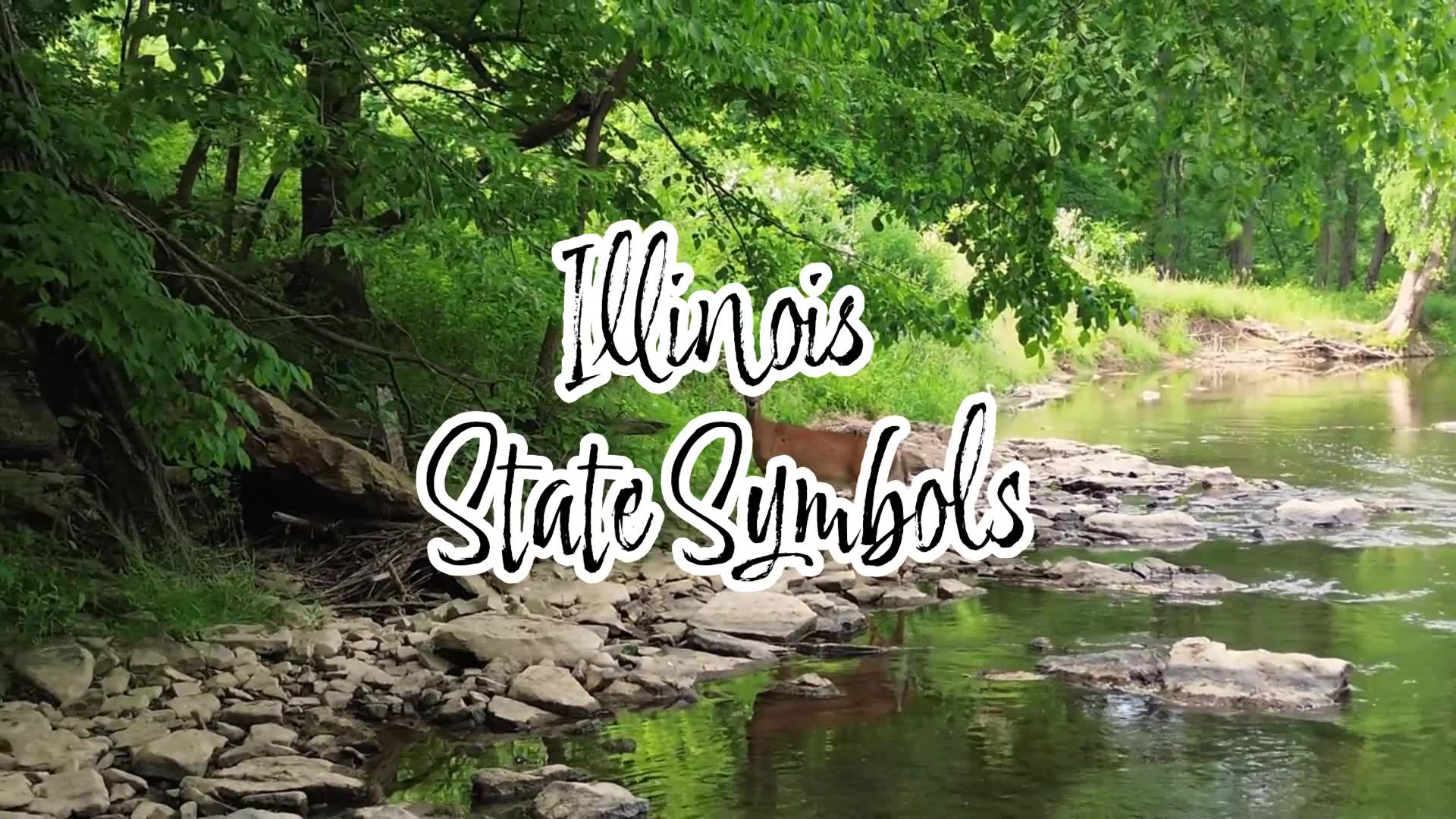 Illinois State Symbols – WGN-TV