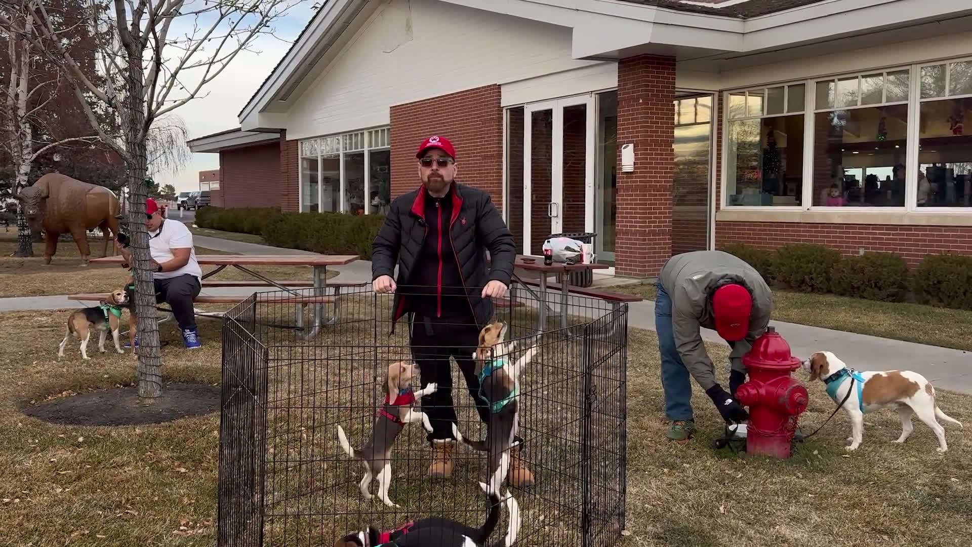 Operation Frodo EV Makes People Cry And Adopt Dogs – WKRG News 5