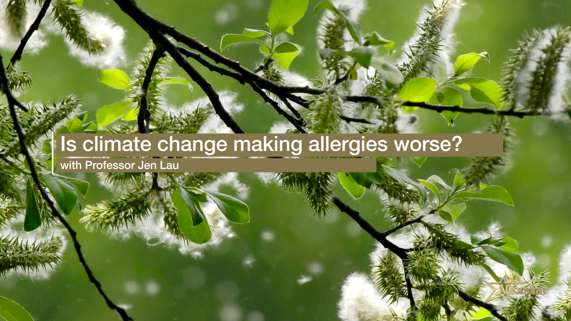 Will climate change make allergies worse? – FOX 2