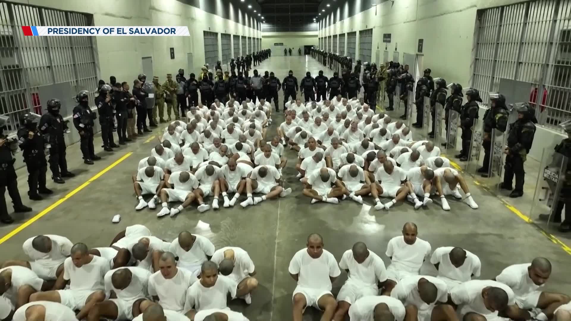 Lawmakers rally behind family of wrongfully deported man – WSPA 7NEWS