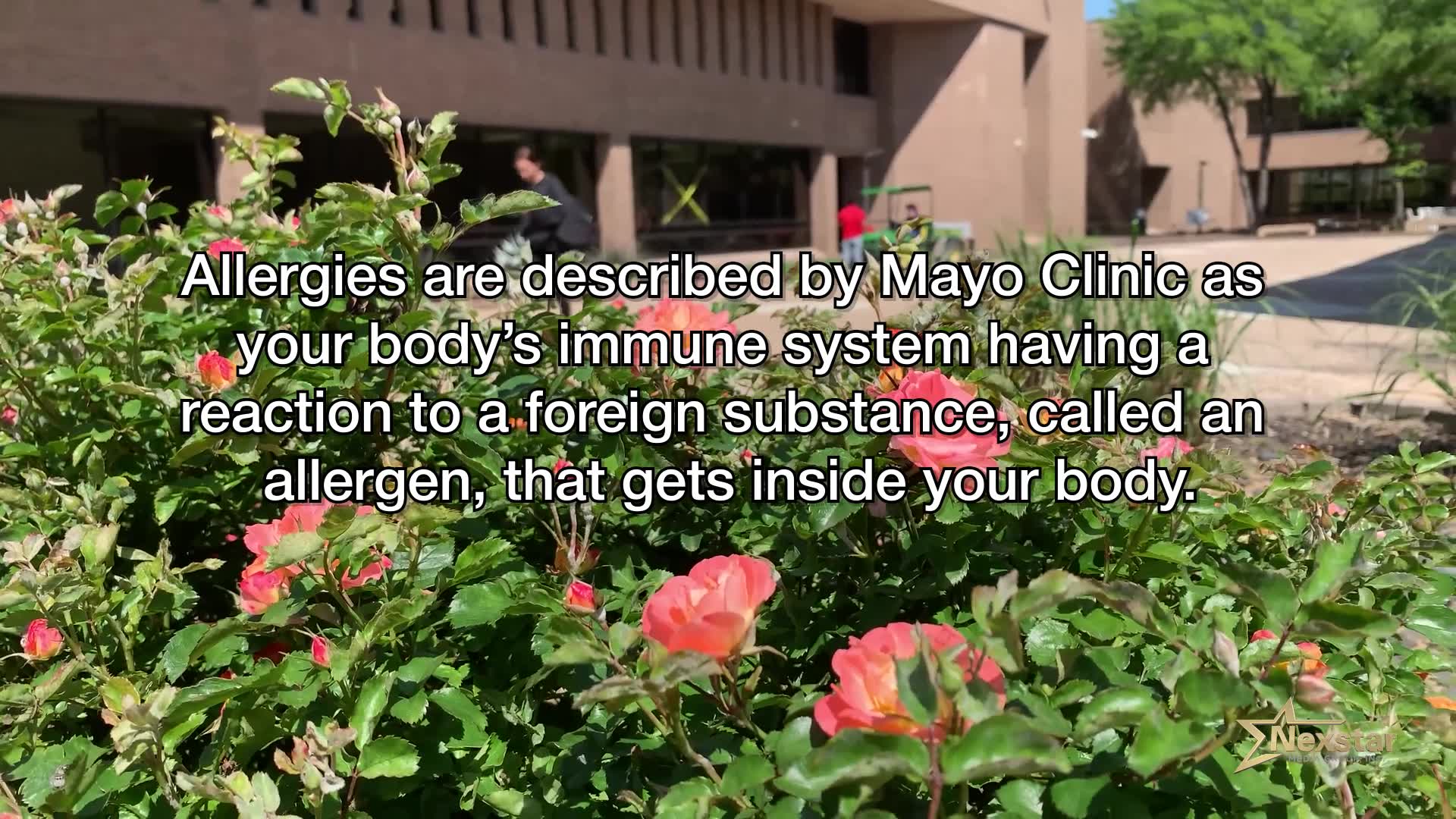 Allergies explained – FOX 2