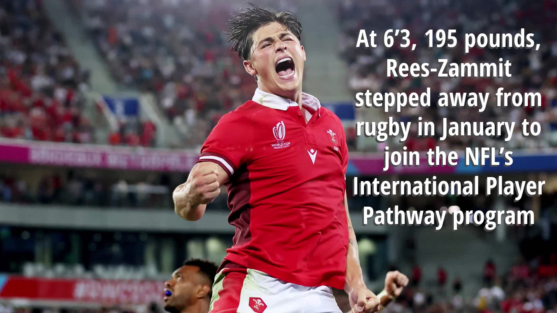 Chiefs sign former Welsh rugby star Louis Rees-Zammit – FOX 2